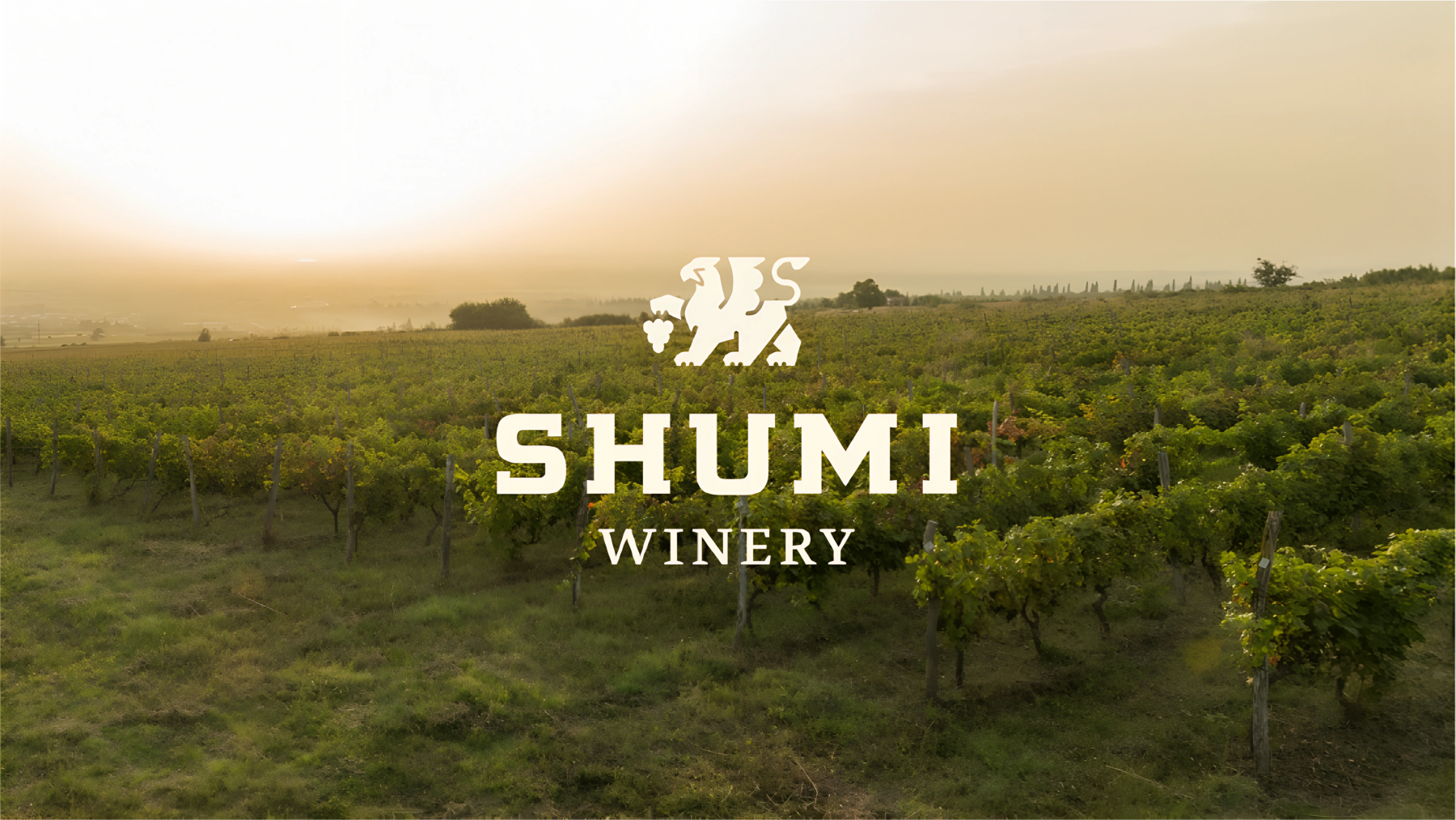 Shumi Winery – Orange Wine Shop